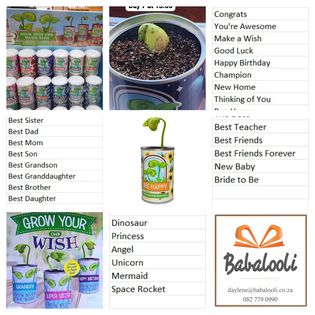 Magic message Bean – Babalooli